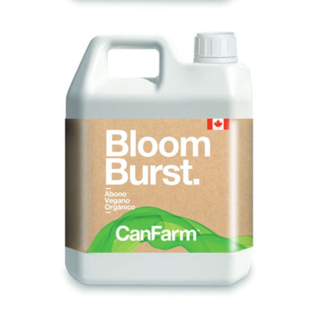 Bloom Burst - Can Farm