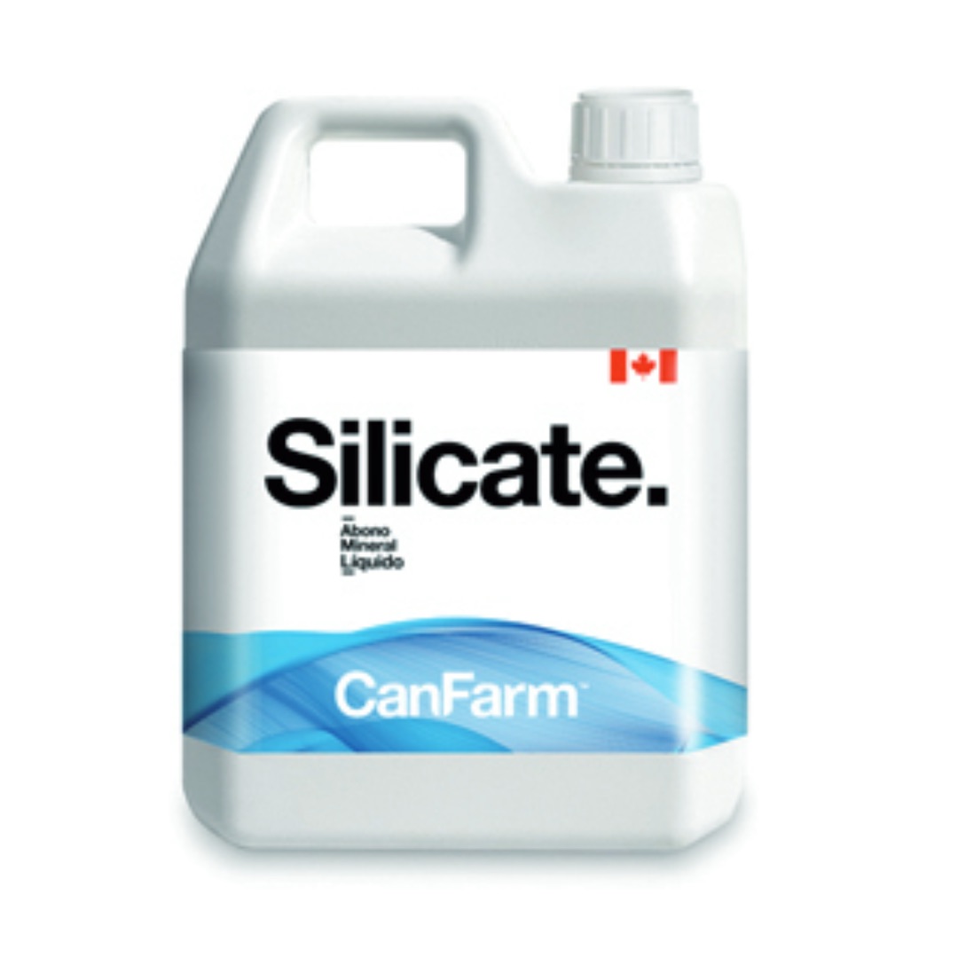 Silicate. - Can Farm